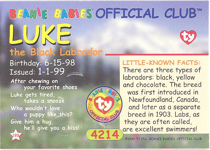 TY Beanie Babies BBOC Card - Series 2 Common - LUKE the Black Labrador ...